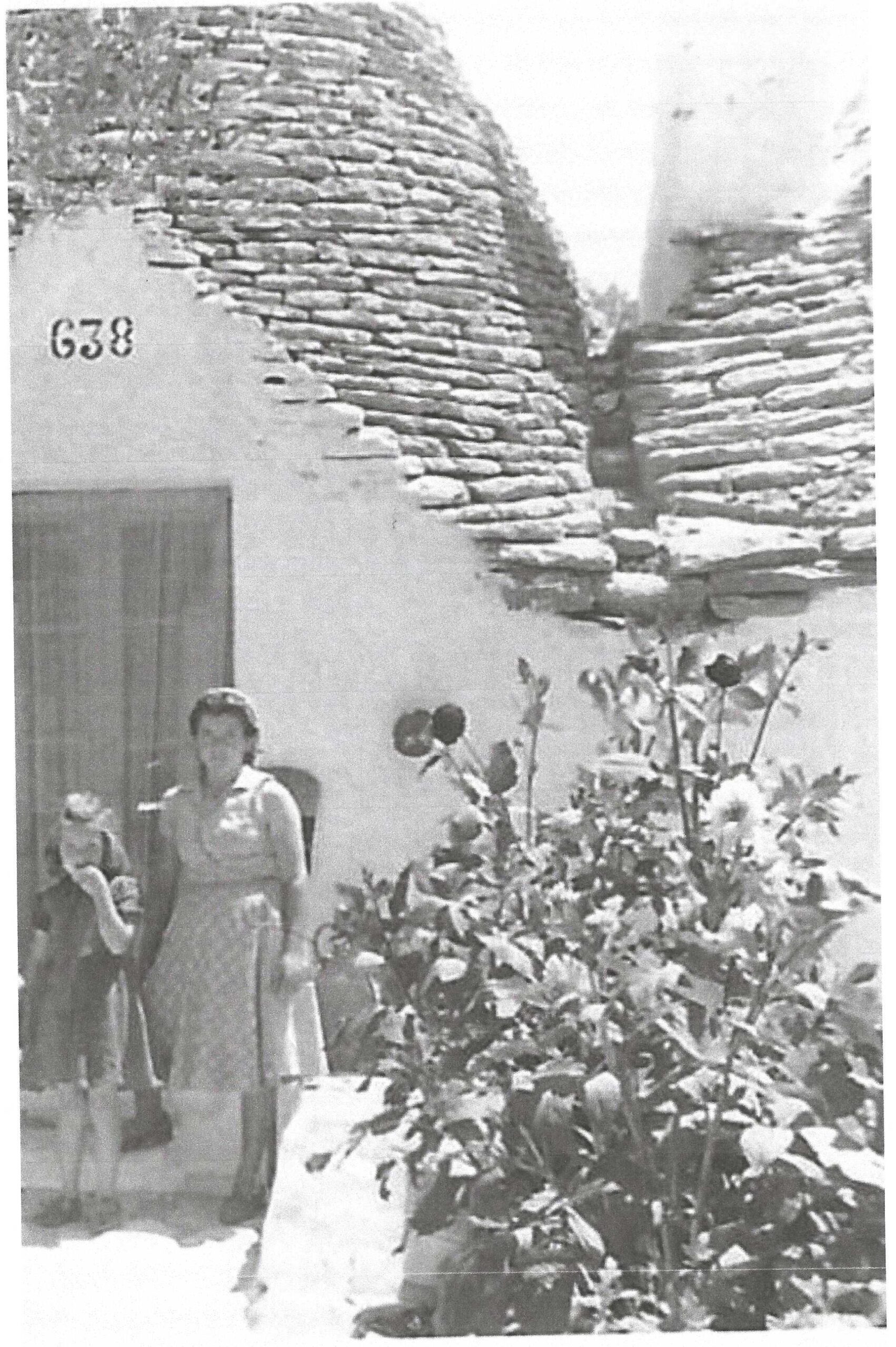 Connecting Through Language